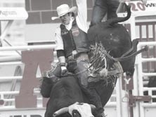 The Original Rodeo Shop | Barstow Pro Rodeo